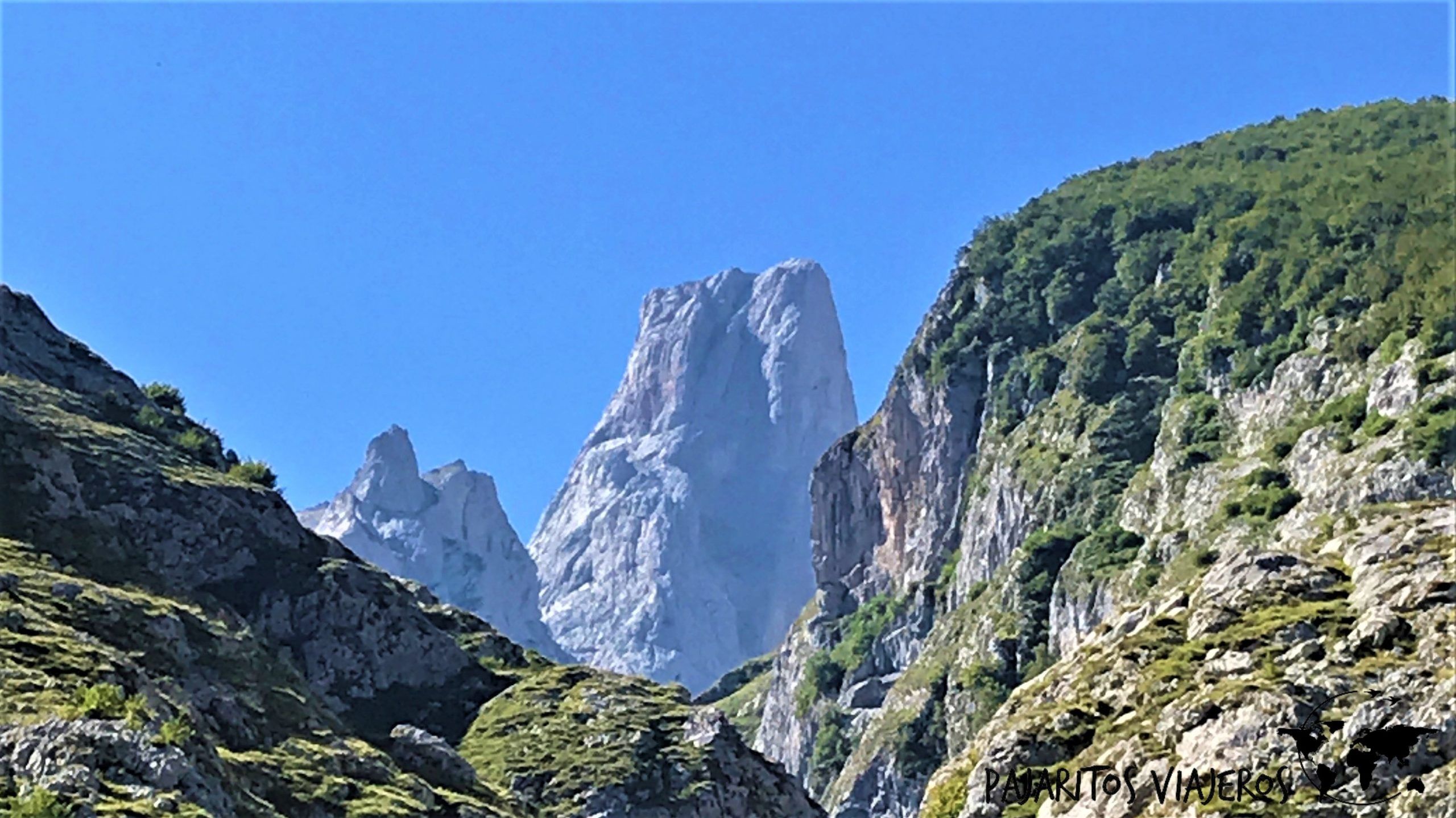 Día 12: Ruta Poncebos-Bulnes, Fitu y Lastres - Pajaritos Viajeros